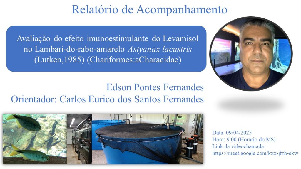 » Apresentação do relatório parcial – Edson Pontes Fernandes